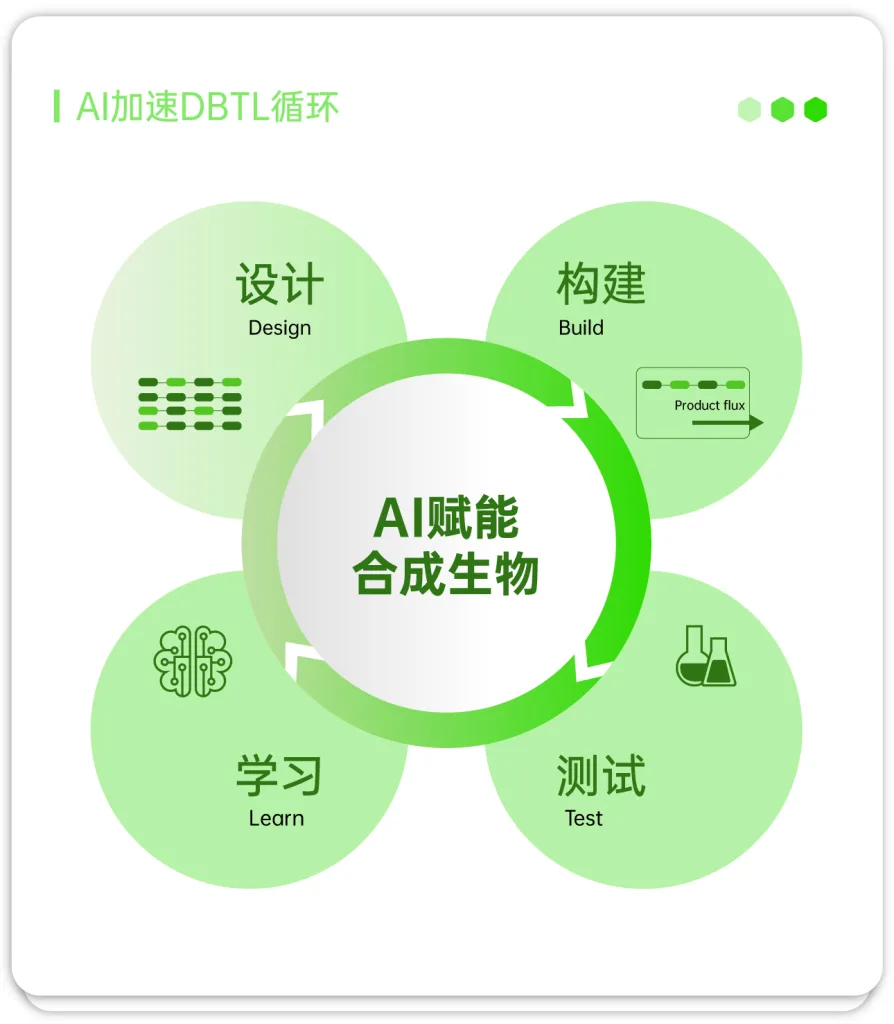 AI is going to be "mechanical ascension", how far is synthetic biology ...